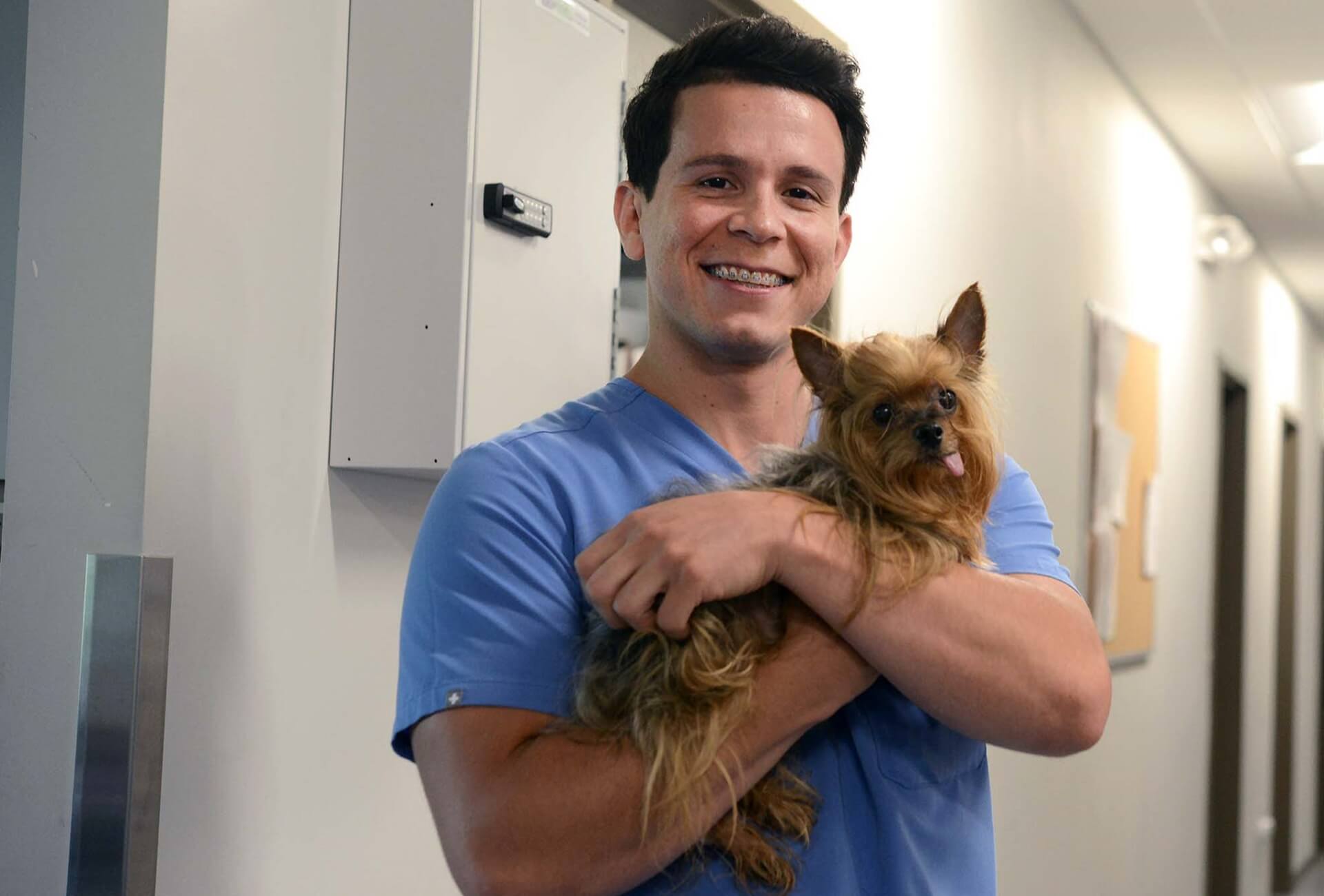 Pet Pain Management In Morristown, NJ 07960 | Morristown Animal Hospital