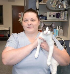 Veterinarian In Morristown, NJ 07960 | Morristown Animal Hospital